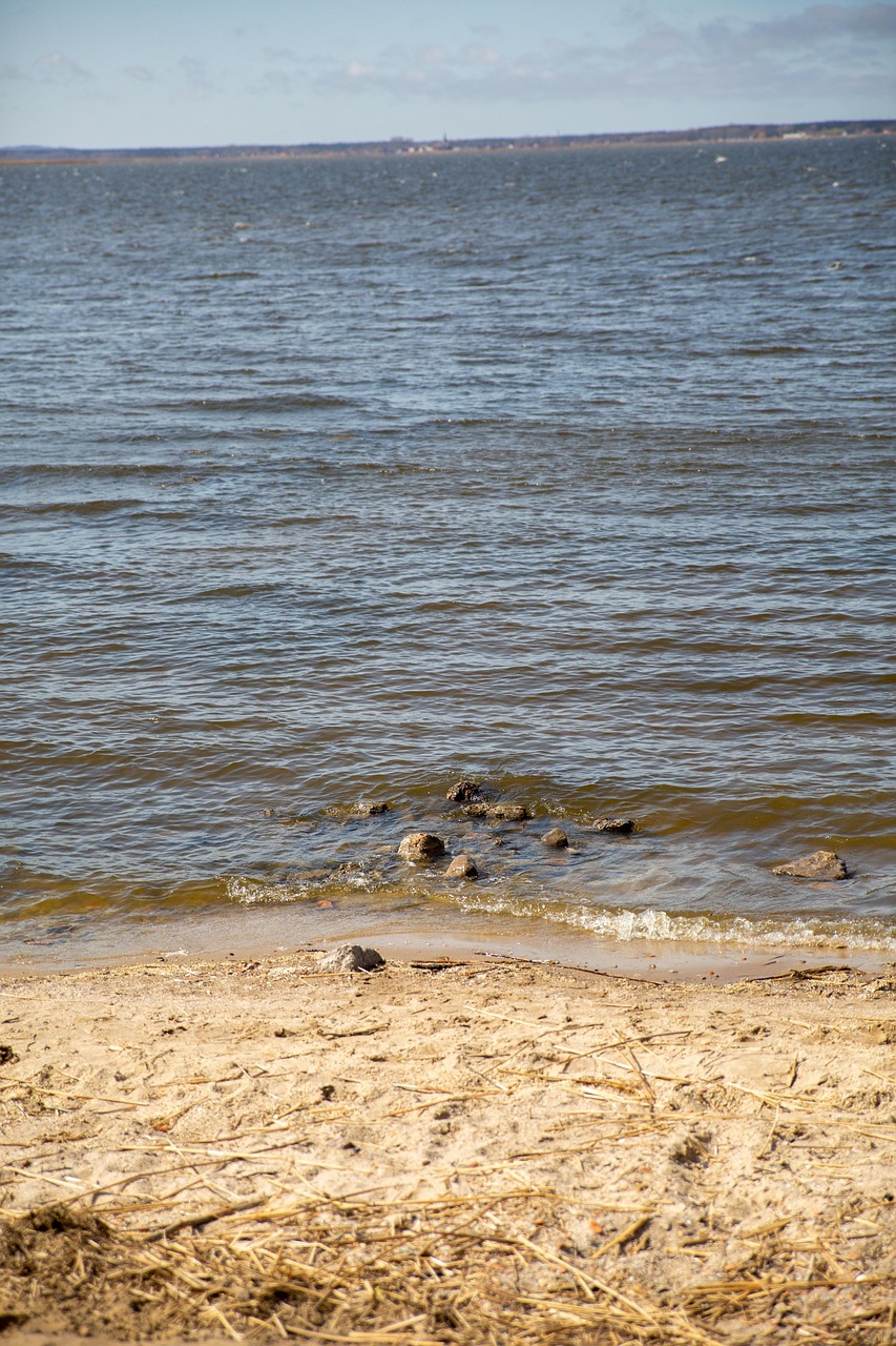 Lake Lagoon Sand - Free photo on Pixabay - Pixabay
