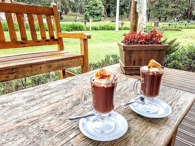 Natureza Chocolate Parque - Foto gratuita no Pixabay - Pixabay
