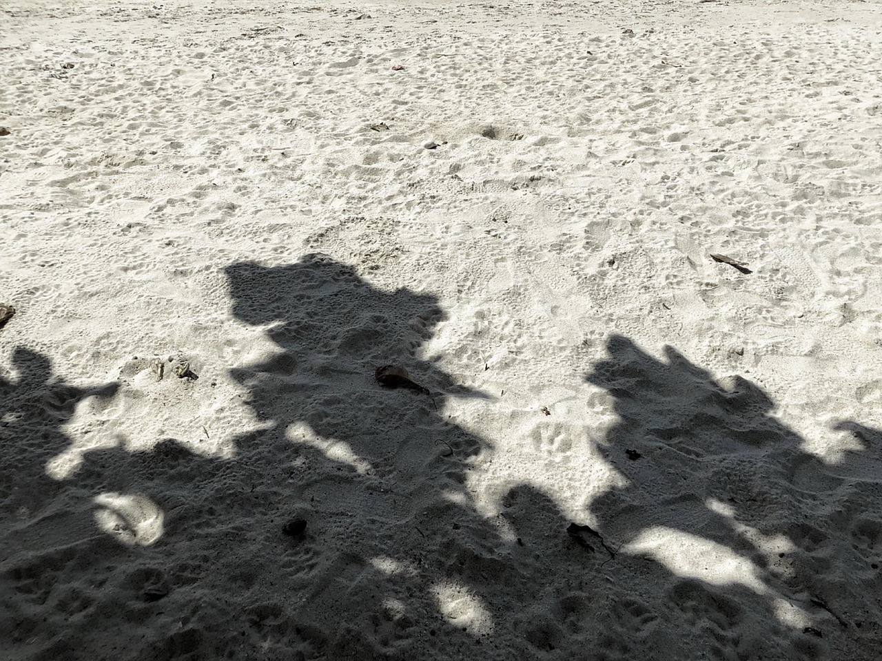 Shadow Sand - Free photo on Pixabay