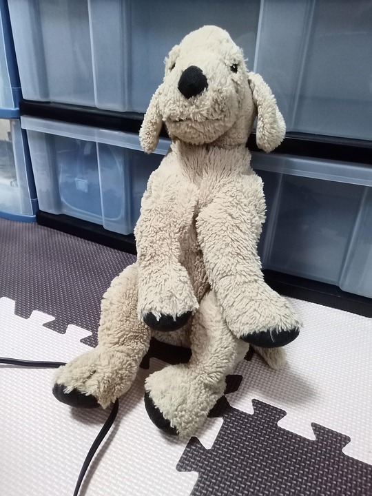 Dog Doll - Free photo on Pixabay - Pixabay