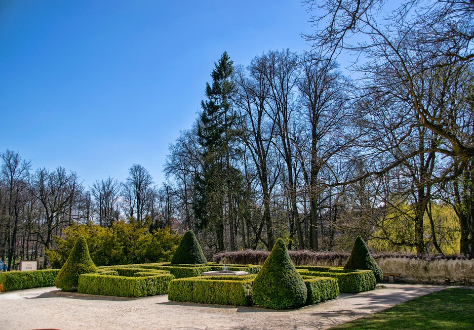 Park Ogród Botaniczny Historycznie - Darmowe zdjęcie na Pixabay - Pixabay