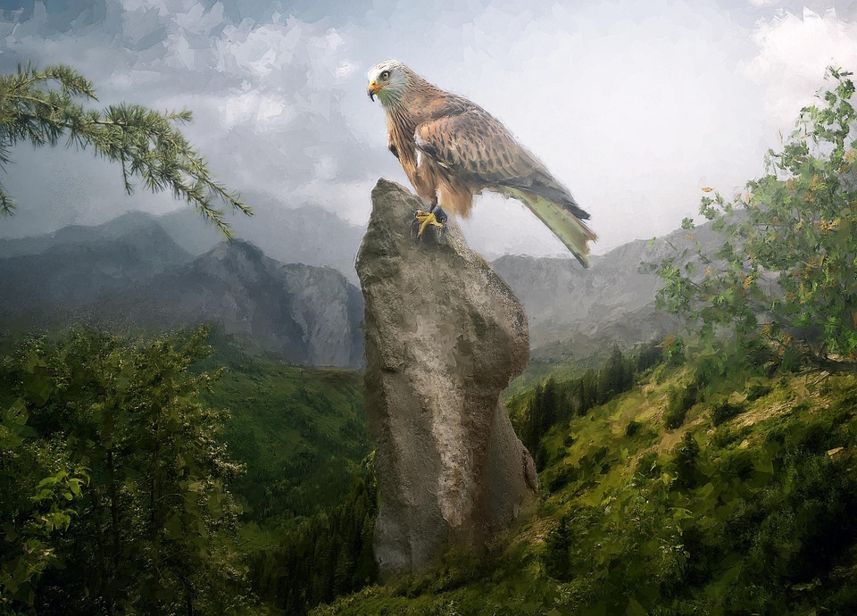 Download Bird, Falcon, Hawk. Royalty-Free Stock Illustration Image ...