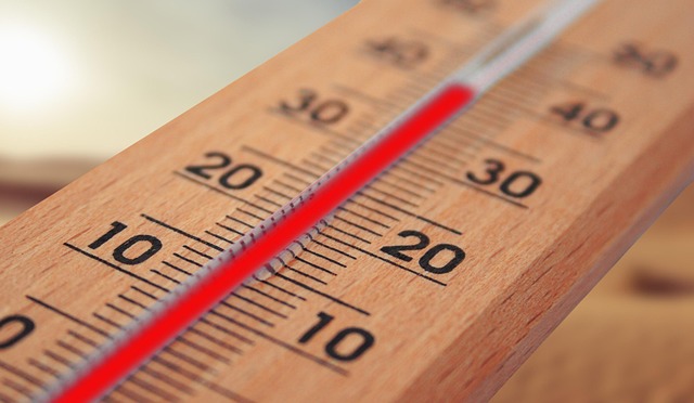 300+ Free Thermometers & Temperature Images - Pixabay