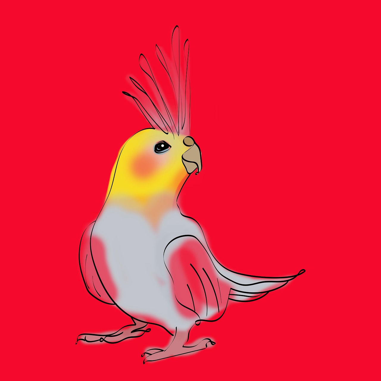 Download Parakeet, Bird, Drawing. Royalty-Free Stock Illustration Image ...