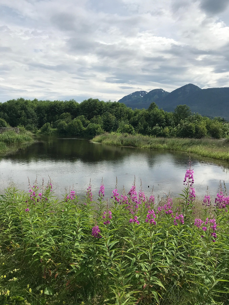 Nature Lake Subtropical - Free photo on Pixabay - Pixabay