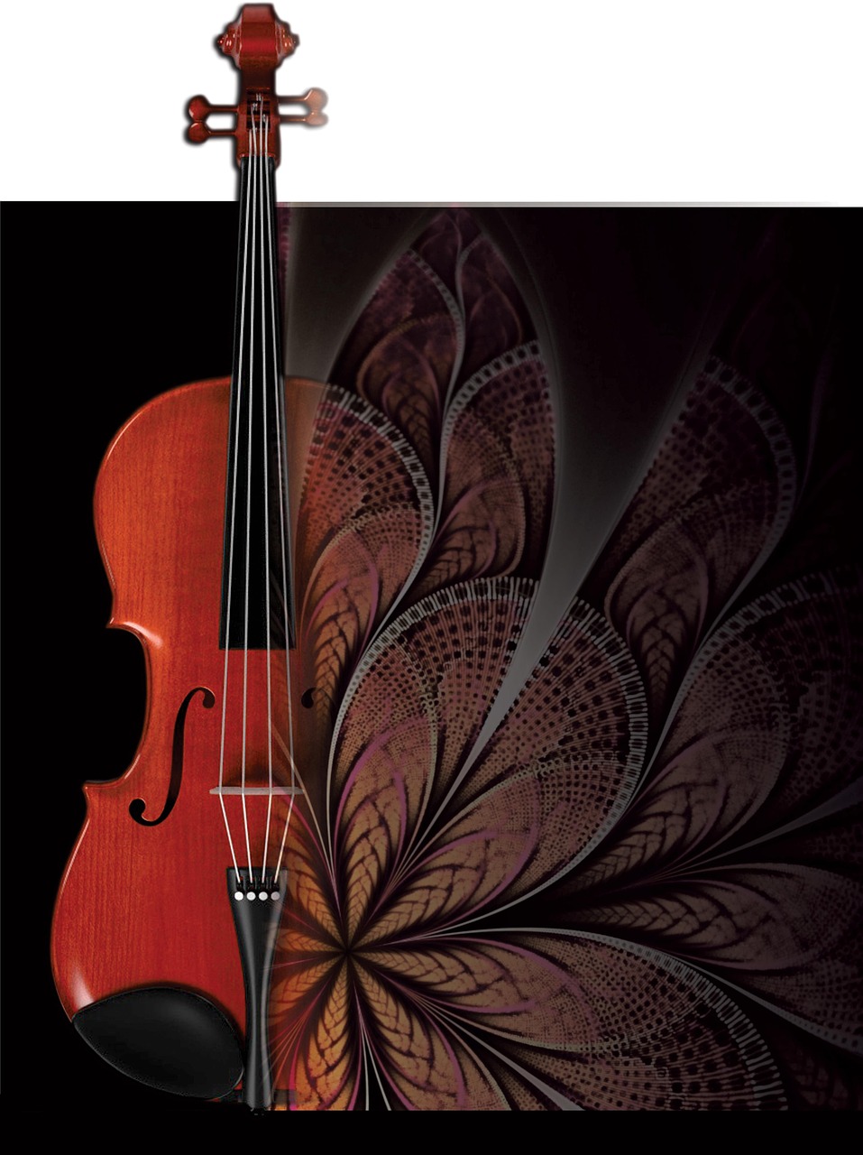 Violino Música - Foto gratuita no Pixabay - Pixabay