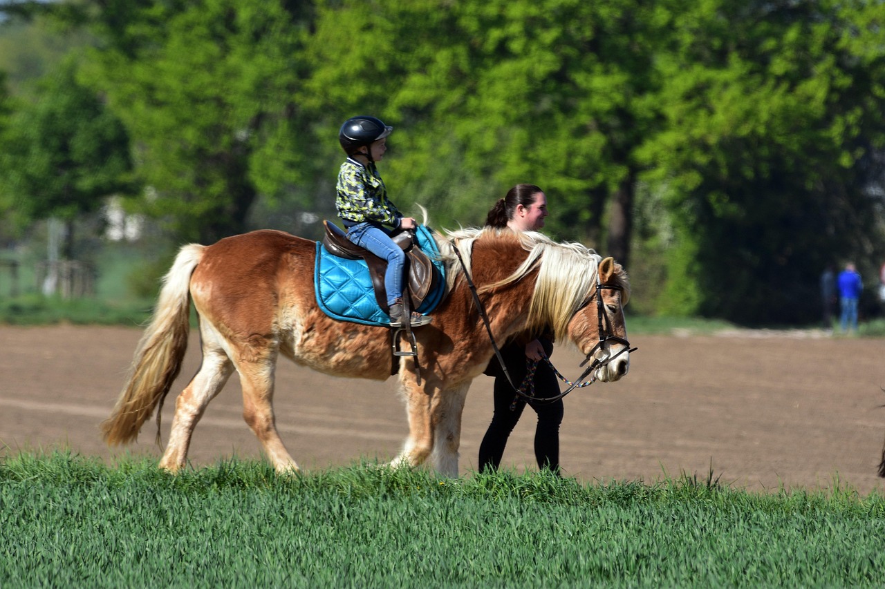 Poni Montar A Caballo Niño - Foto gratis en Pixabay - Pixabay