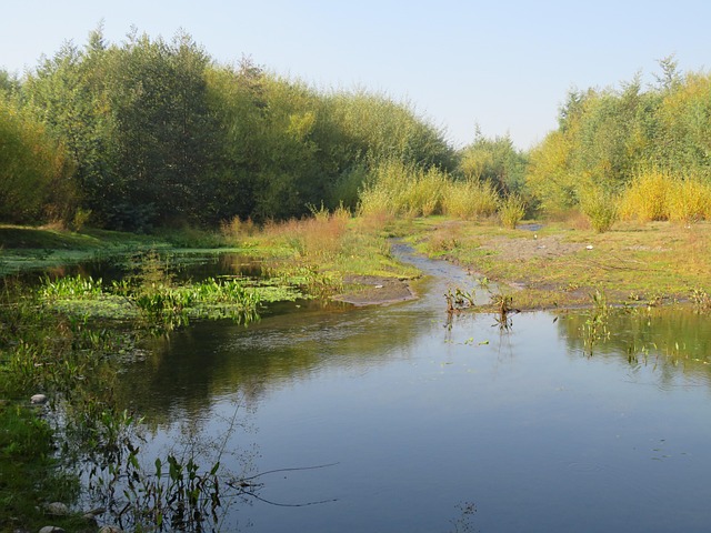 River Scenery Nature Tolten - Free photo on Pixabay - Pixabay