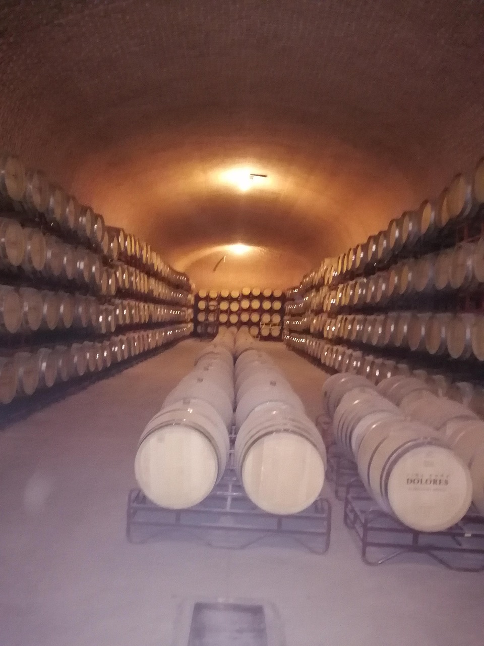 Freixenet Queretaro Wines Wine - Free photo on Pixabay - Pixabay