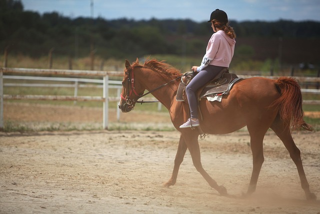 Rider Horse Girl - Free photo on Pixabay