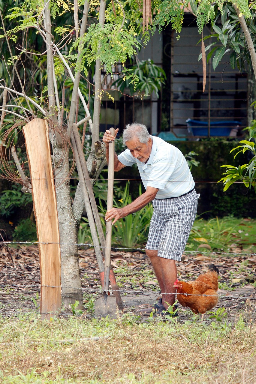 Abuelo Abuelito Campesino - Foto gratis en Pixabay - Pixabay