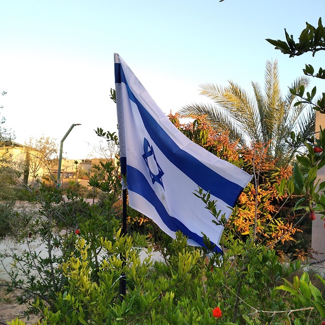 Drapeau Israélien Bleu Et - Photo gratuite sur Pixabay - Pixabay