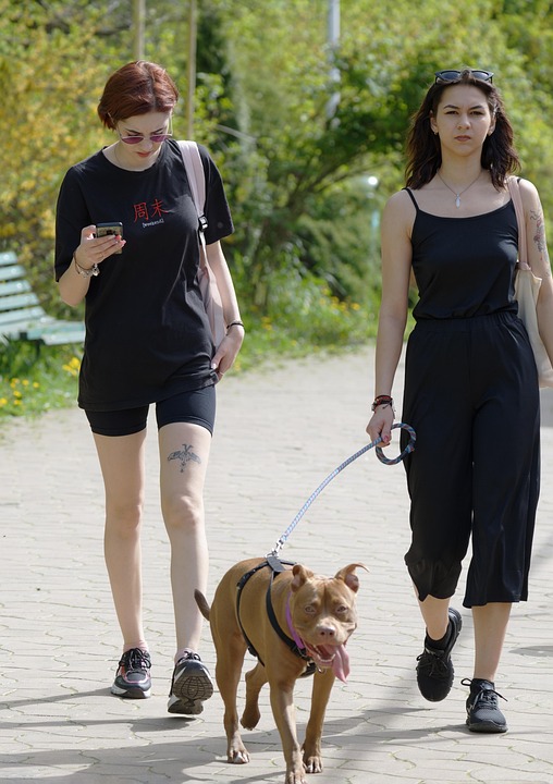 Women Girls Dog - Free photo on Pixabay - Pixabay