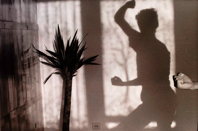 Karate Man Silhouette - Free photo on Pixabay - Pixabay