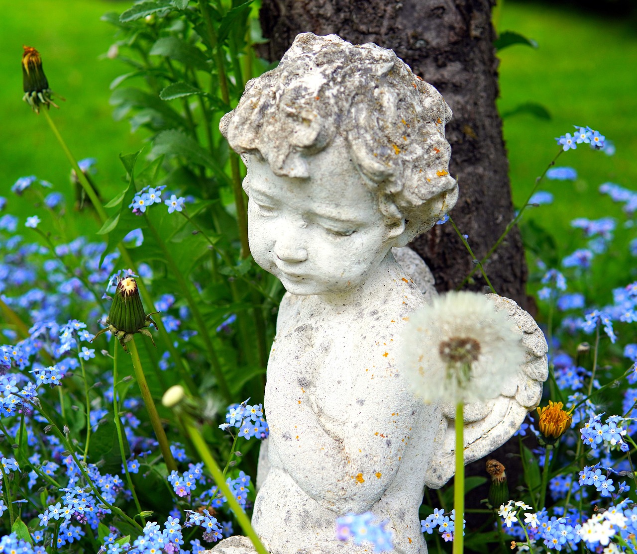 Forget Me Nots Angel Statue Garden - Free photo on Pixabay - Pixabay