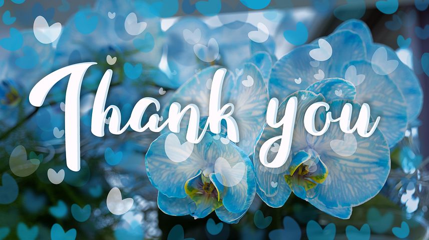 Plus de 100 images de Remerciement et de Merci - Pixabay