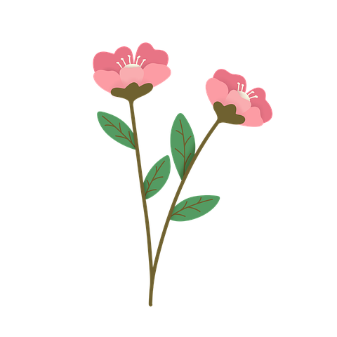300+ Free Simple Flower & Simple Images - Pixabay