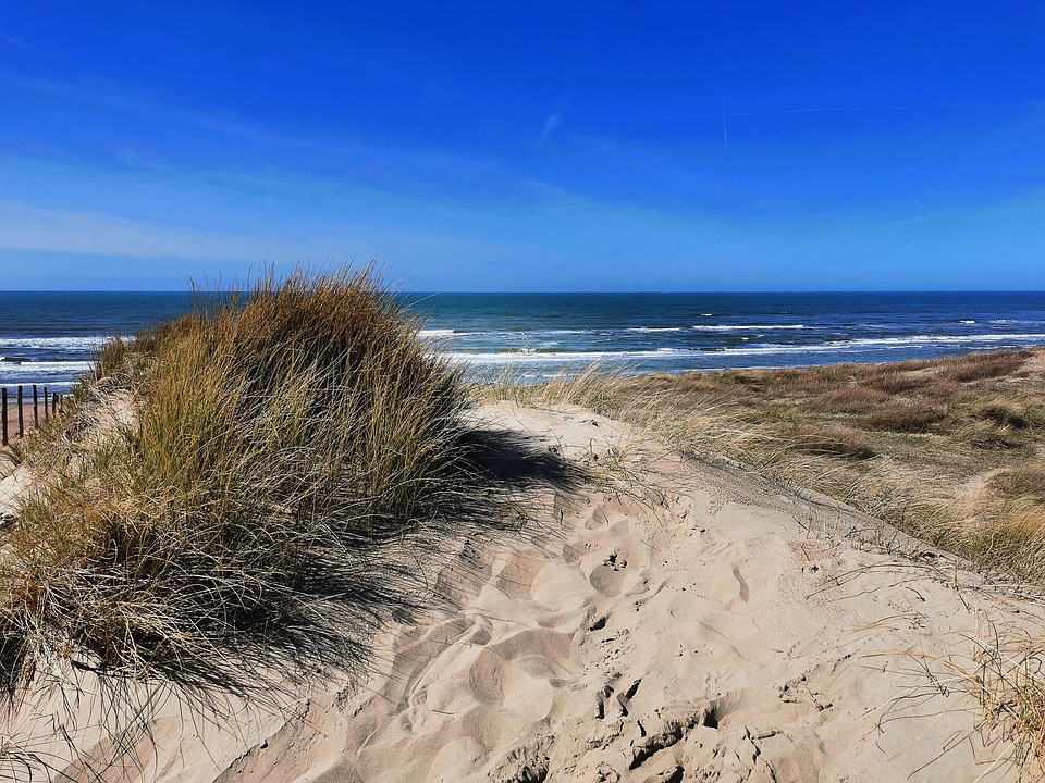 Beach Sea Sand - Free photo on Pixabay