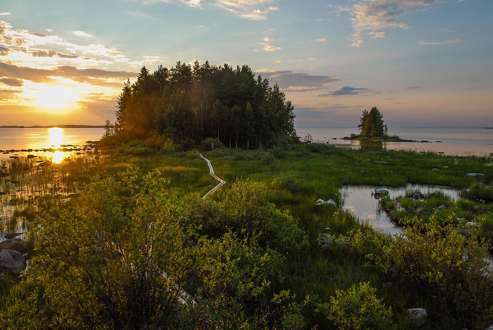 Lake Evening Swamp - Free photo on Pixabay - Pixabay