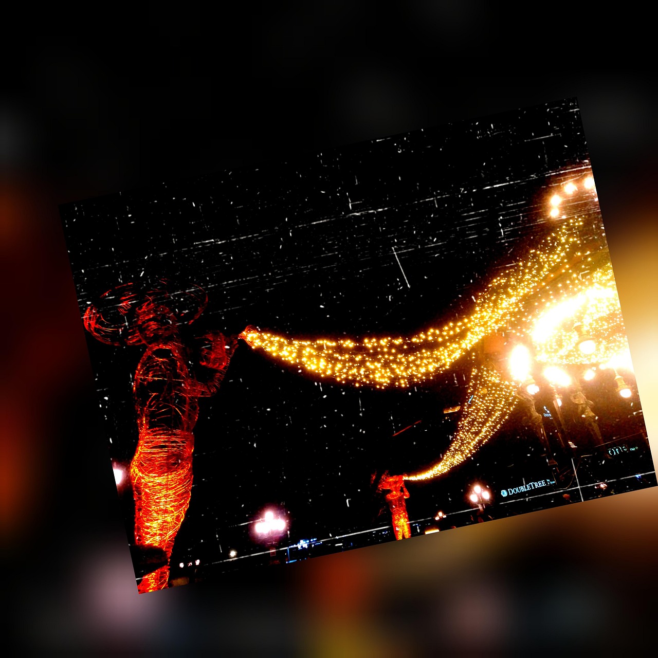 Mariachi Guadalajara Lights - Free photo on Pixabay - Pixabay