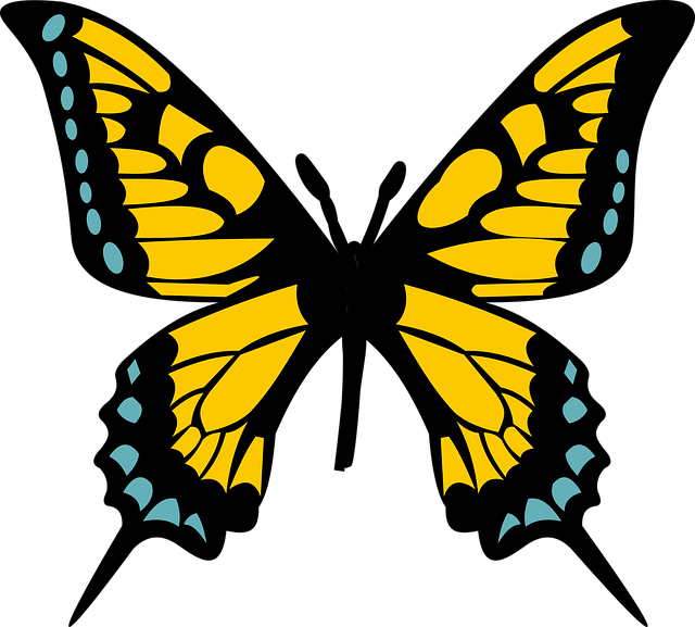 Over 900 Free Butterfly Vectors - Pixabay