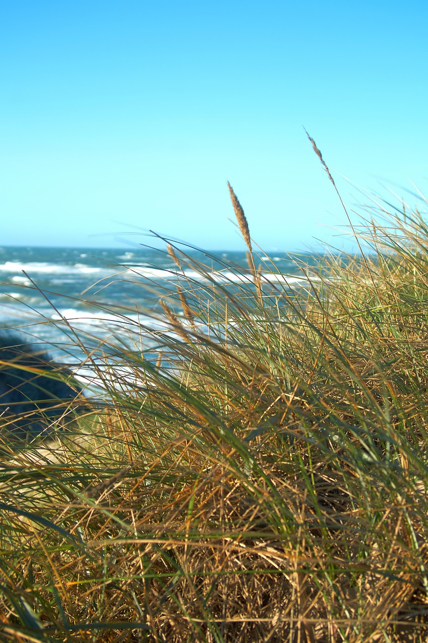 Mer La Du Nord Danemark - Photo gratuite sur Pixabay - Pixabay
