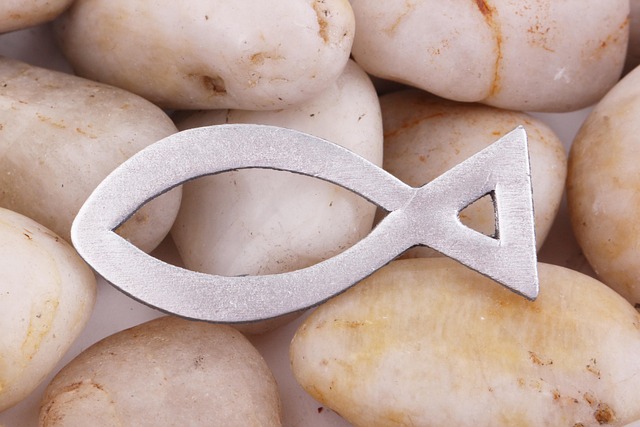 Fish Silver Stones - Free photo on Pixabay - Pixabay