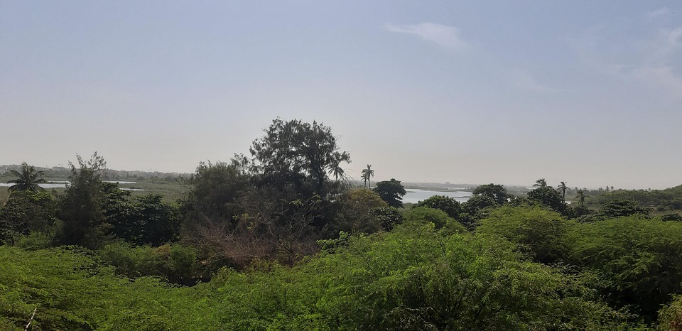 Nature Dakar - Free photo on Pixabay - Pixabay