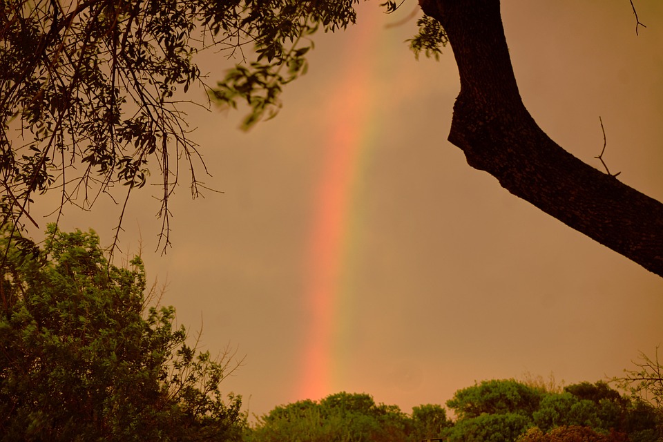 Nature En Plein Air Phénomène - Photo gratuite sur Pixabay - Pixabay