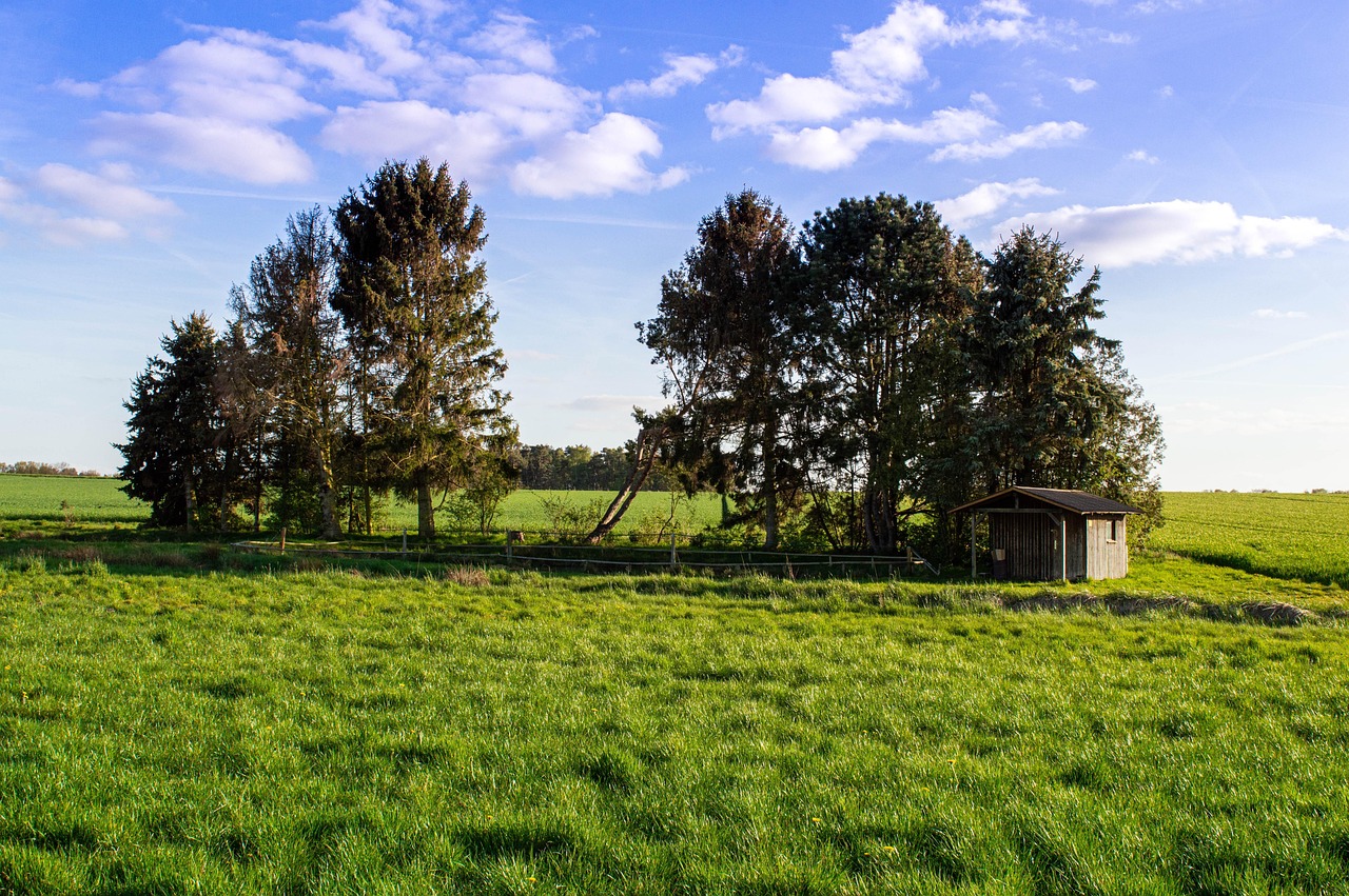 Des Arbres Cabane Gazon - Photo gratuite sur Pixabay - Pixabay