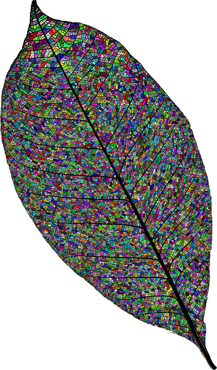 Yaprak Renkli Resim Çizme - Pixabay'da ücretsiz vektör grafik - Pixabay