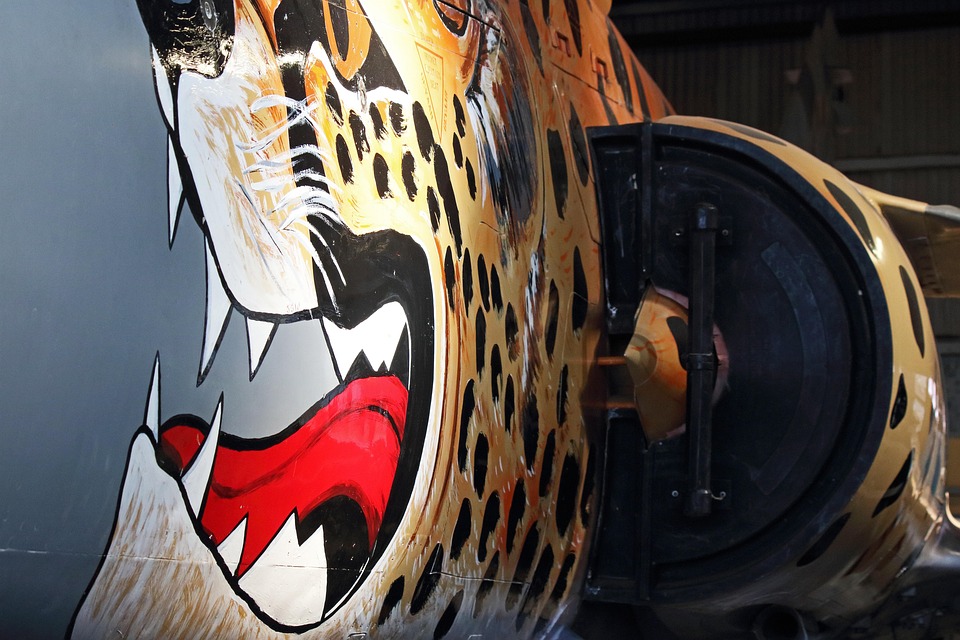 Atlas Cheetah C Jet Tempur Pensiun - Foto gratis di Pixabay - Pixabay