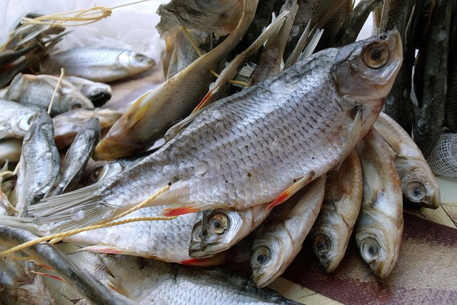 Fish Dried Roach - Free photo on Pixabay - Pixabay