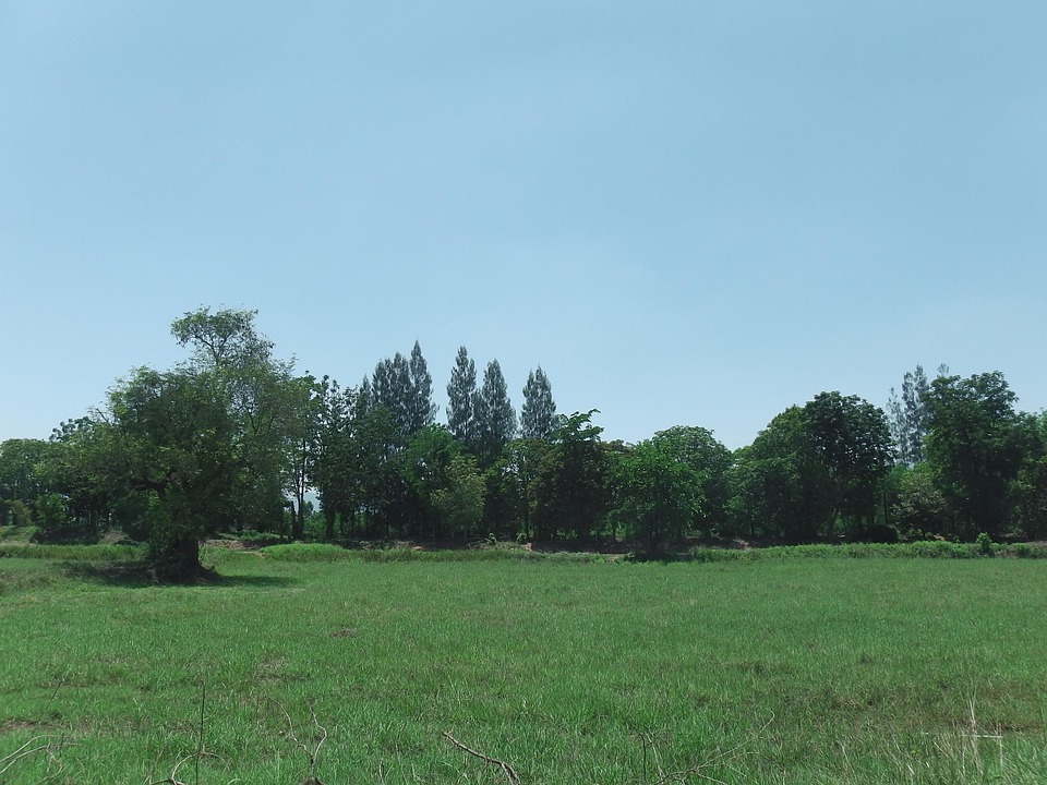 Nature Paysage Vert - Photo gratuite sur Pixabay - Pixabay