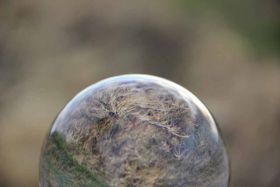 Glass Sphere Lens Ball Nature - Free photo on Pixabay - Pixabay