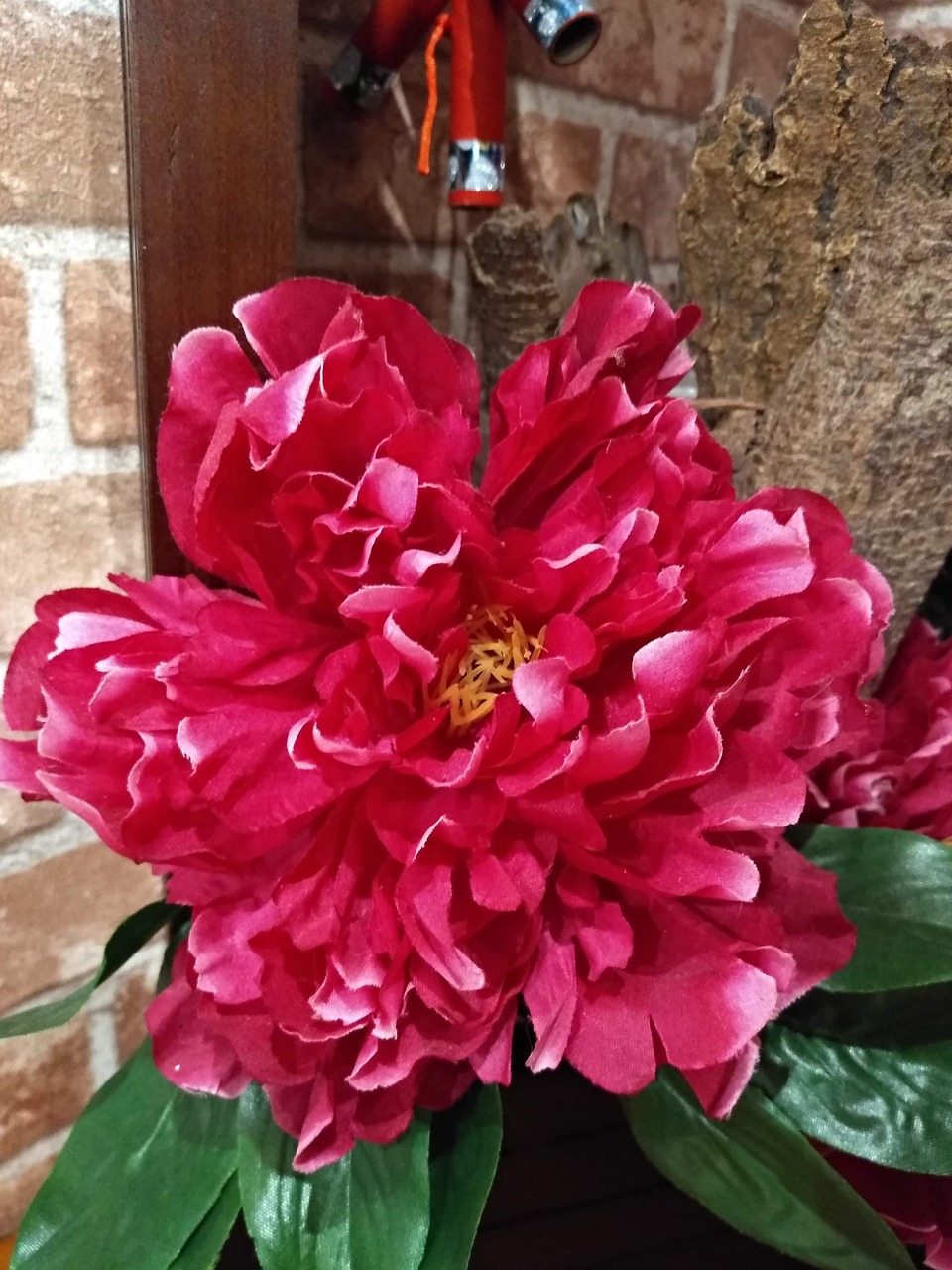 Peony Bunga Merah - Foto gratis di Pixabay - Pixabay