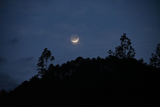 Lua Noite - Foto gratuita no Pixabay - Pixabay