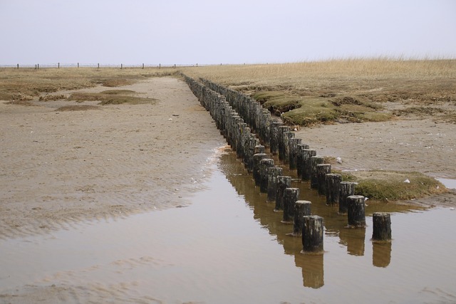 Wadden Sea Woo North - Free photo on Pixabay - Pixabay
