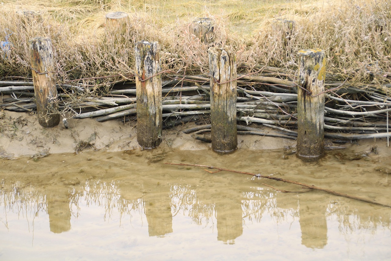 Groyne North Sea Wadden - Free photo on Pixabay - Pixabay