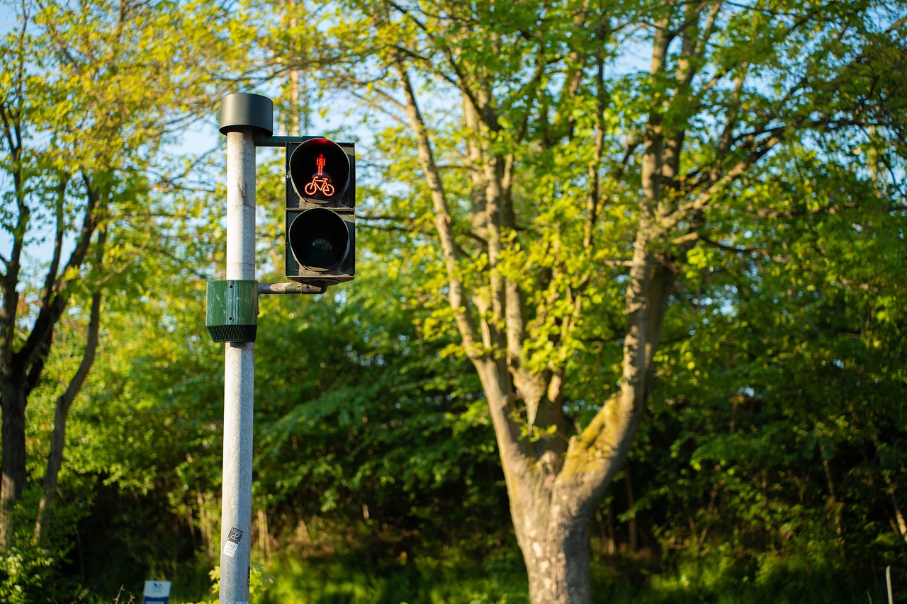 10,000+ Free Pedestrian Crossing & Crosswalk Images - Pixabay