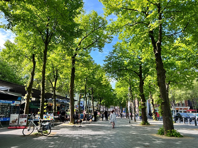 Venlo Holanda Primavera - Foto gratuita no Pixabay - Pixabay