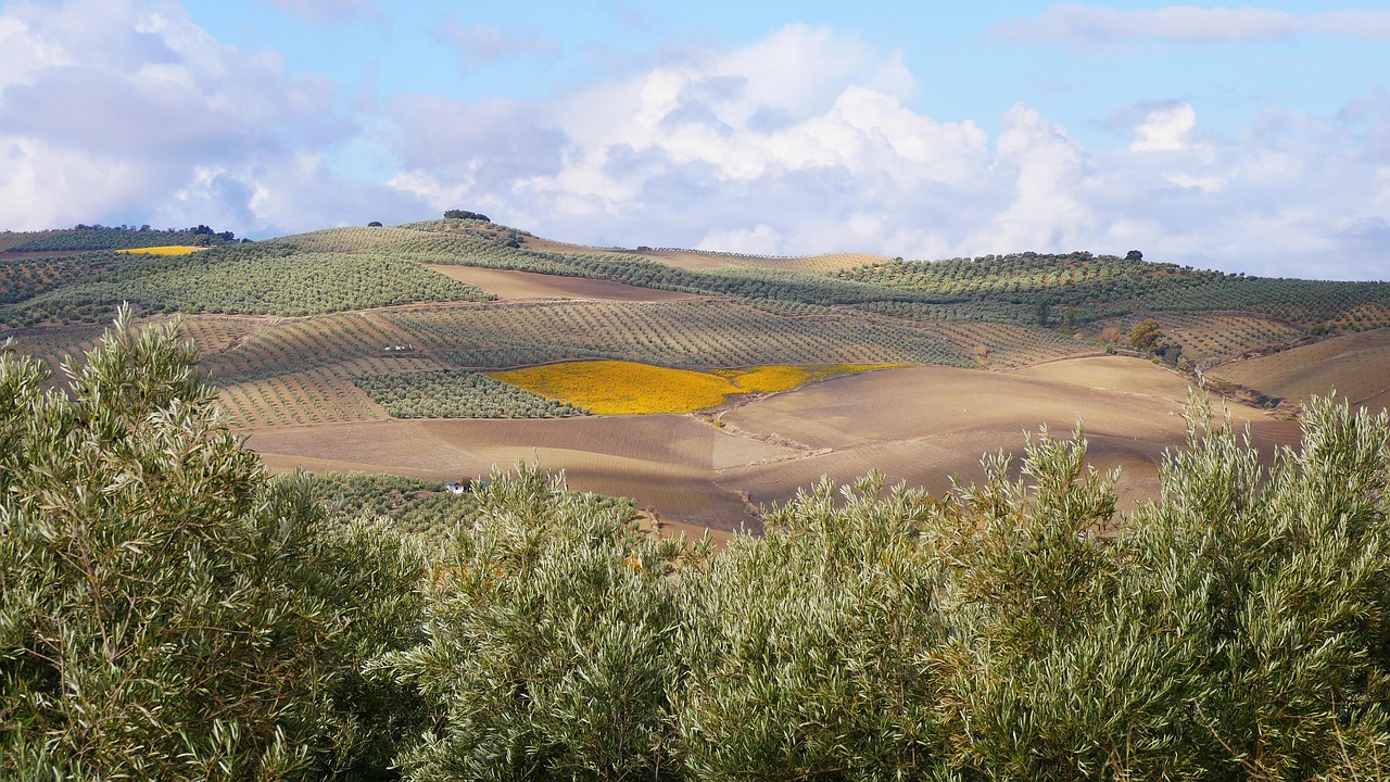 Andalusia Spain Nature - Free photo on Pixabay - Pixabay