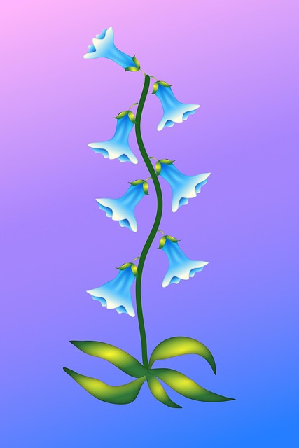 Fleur La Fée Clochette Mauve - Image gratuite sur Pixabay - Pixabay