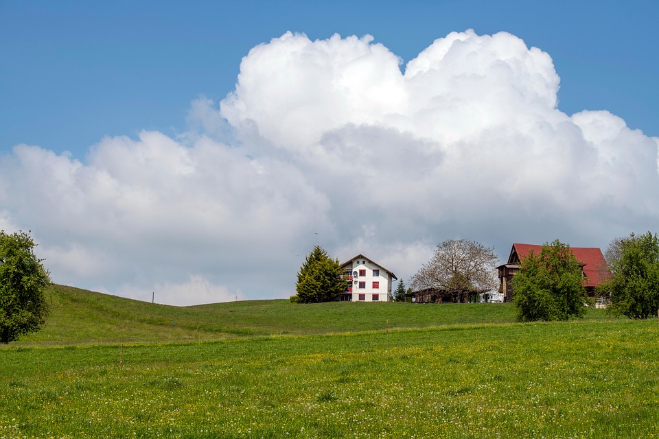 Switzerland Countryside Grass - Free photo on Pixabay