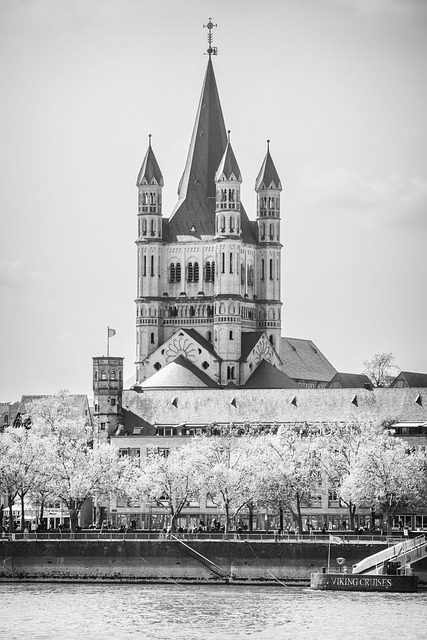 Colonia Cereza - Foto gratis en Pixabay - Pixabay