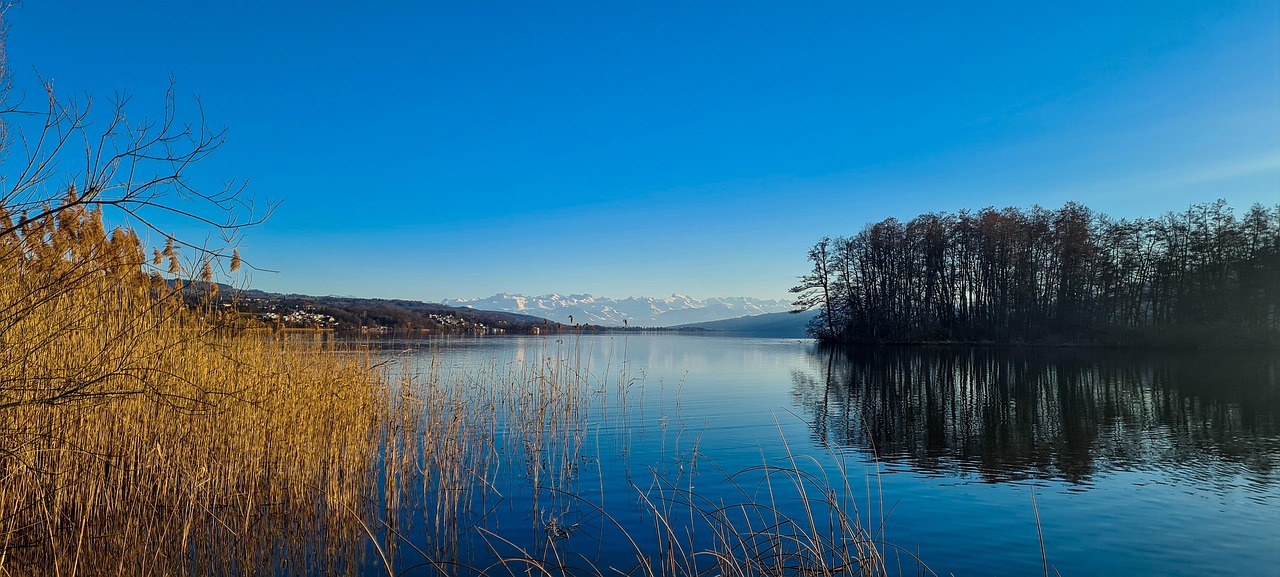 Lake Hallwil Mountains - Free photo on Pixabay
