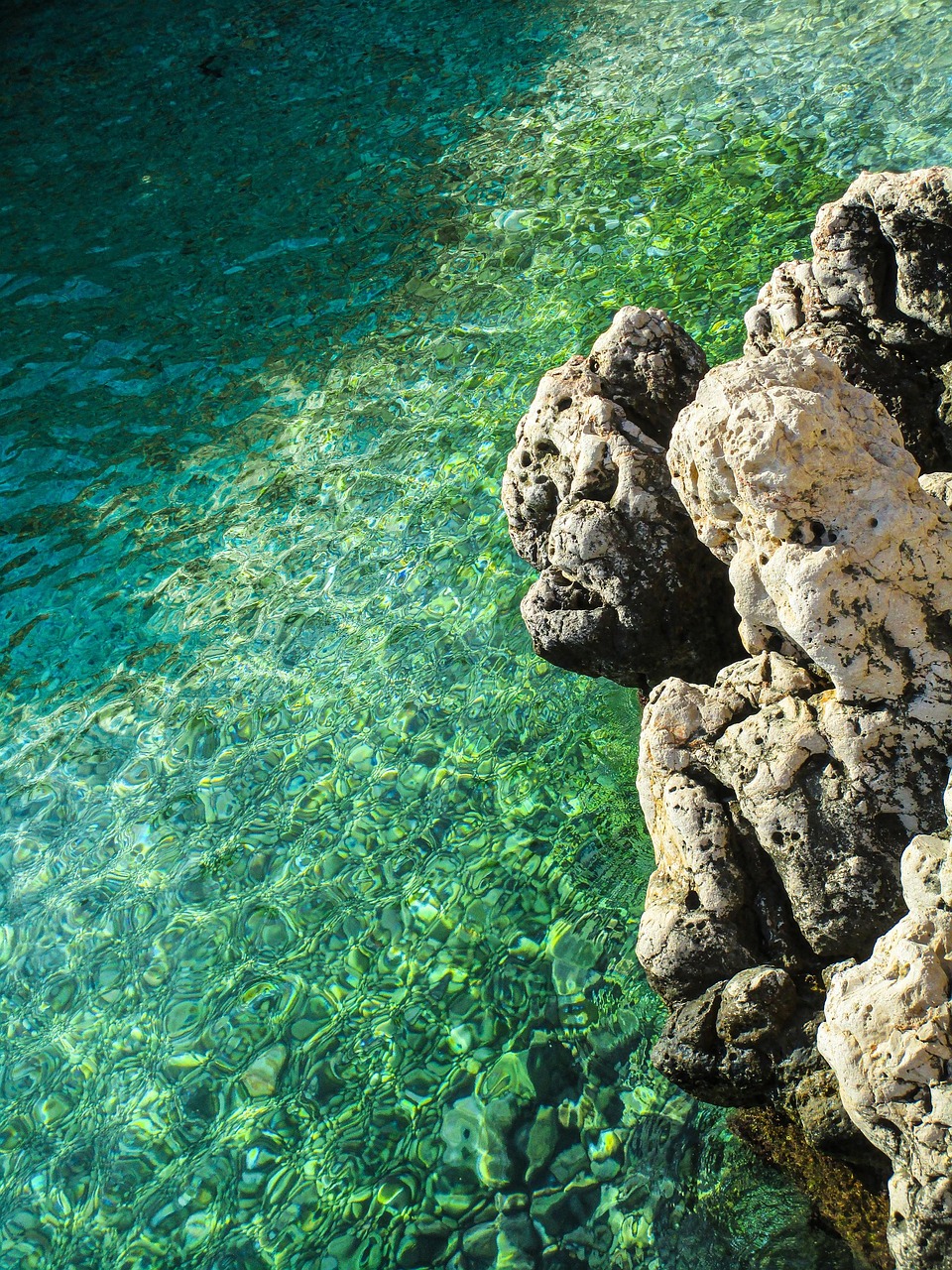 50+ kostenlose Meeresgrund und Meer-Bilder - Pixabay