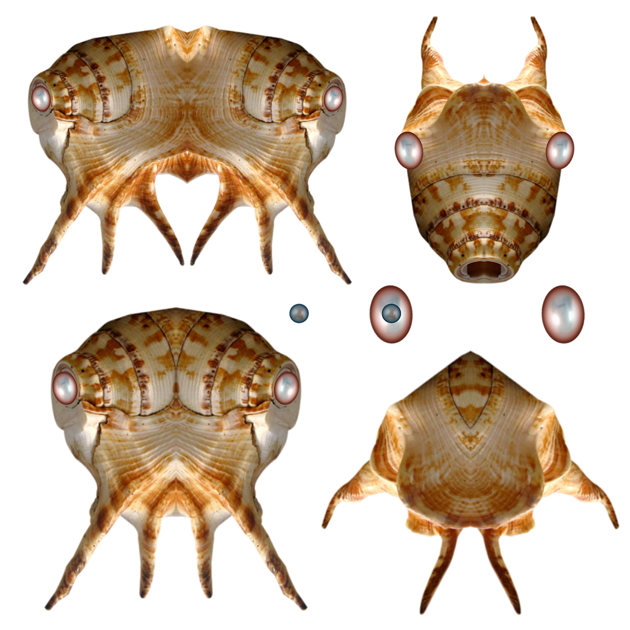 Explore 150+ Free Alien Face Illustrations: Download Now - Pixabay