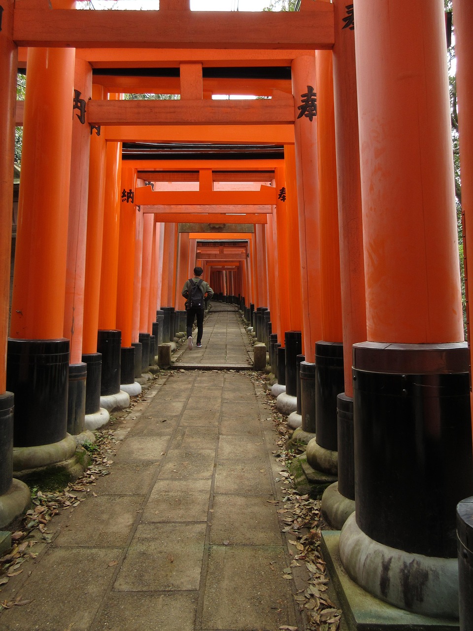 Kyoto Kuil Fushimi Inari Merah - Foto gratis di Pixabay - Pixabay