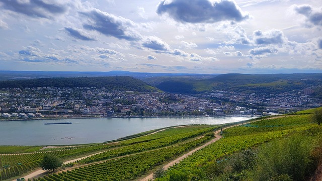 Rudesheim Rhine River Valley - Free photo on Pixabay - Pixabay